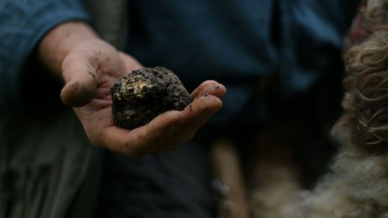 Truffle Hunting in Abruzzo Italy with Carmine & Trusty Lara